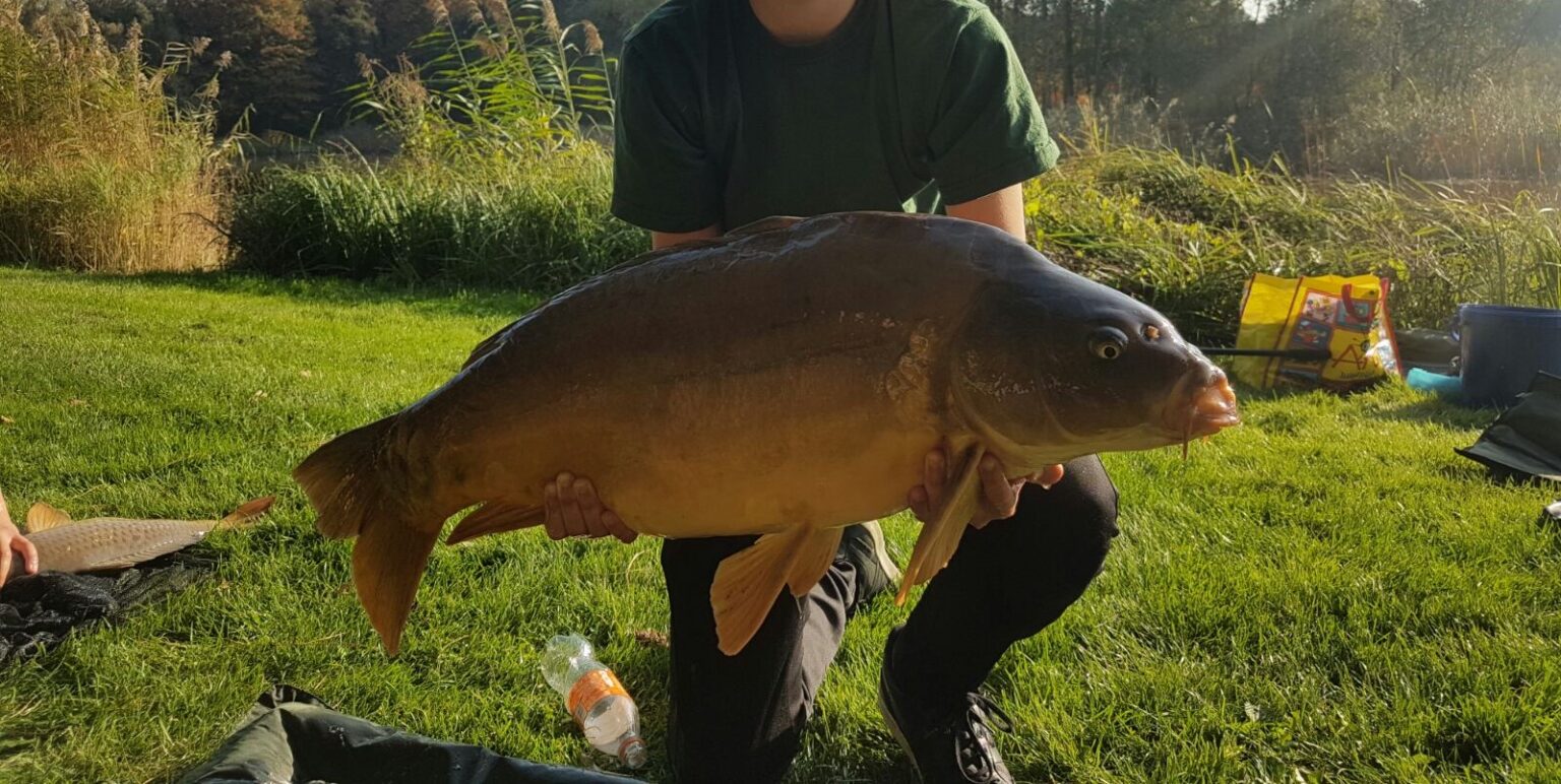 De Beste Visplekken In Limburg (Karper, Snoek, Witvis & Forel ...