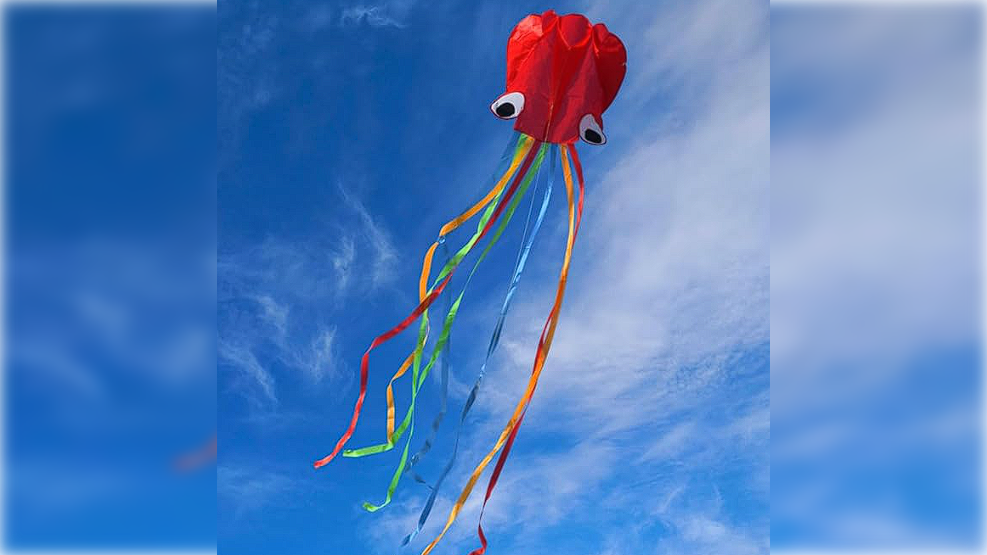 Festival Vliegers | 10 Mooie Vliegers Voor Jouw Vliegerfestival ...