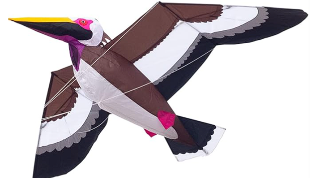 Festival Vliegers | 10 Mooie Vliegers Voor Jouw Vliegerfestival ...