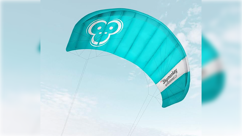 Festival Vliegers | 10 Mooie Vliegers Voor Jouw Vliegerfestival ...