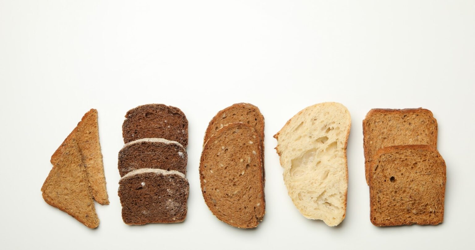 Vissen Met Brood? Zo Vang Jij Gegarandeerd Vis! | HobbyBuiten